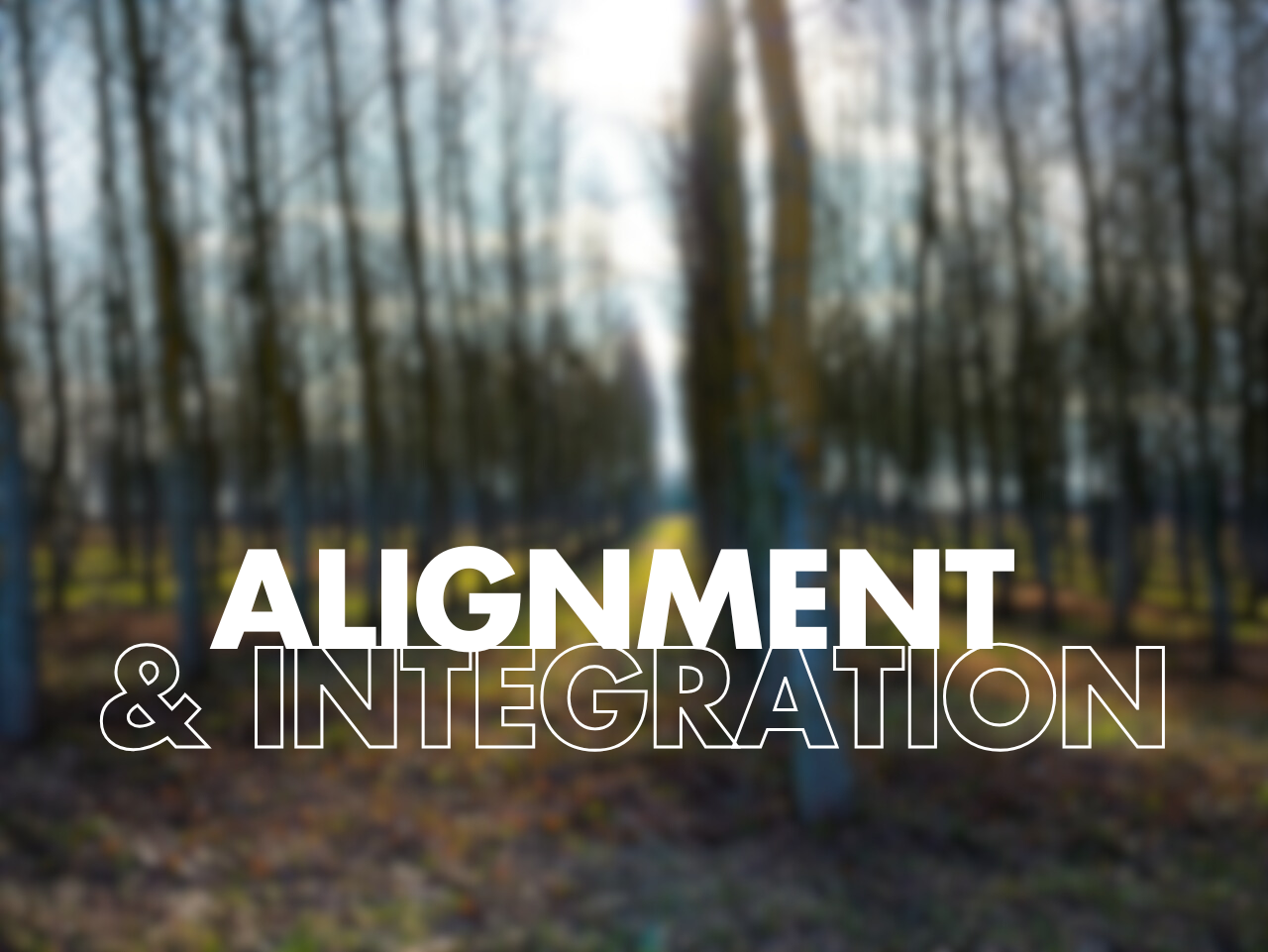 Alignment & integration – Lost and Desperate