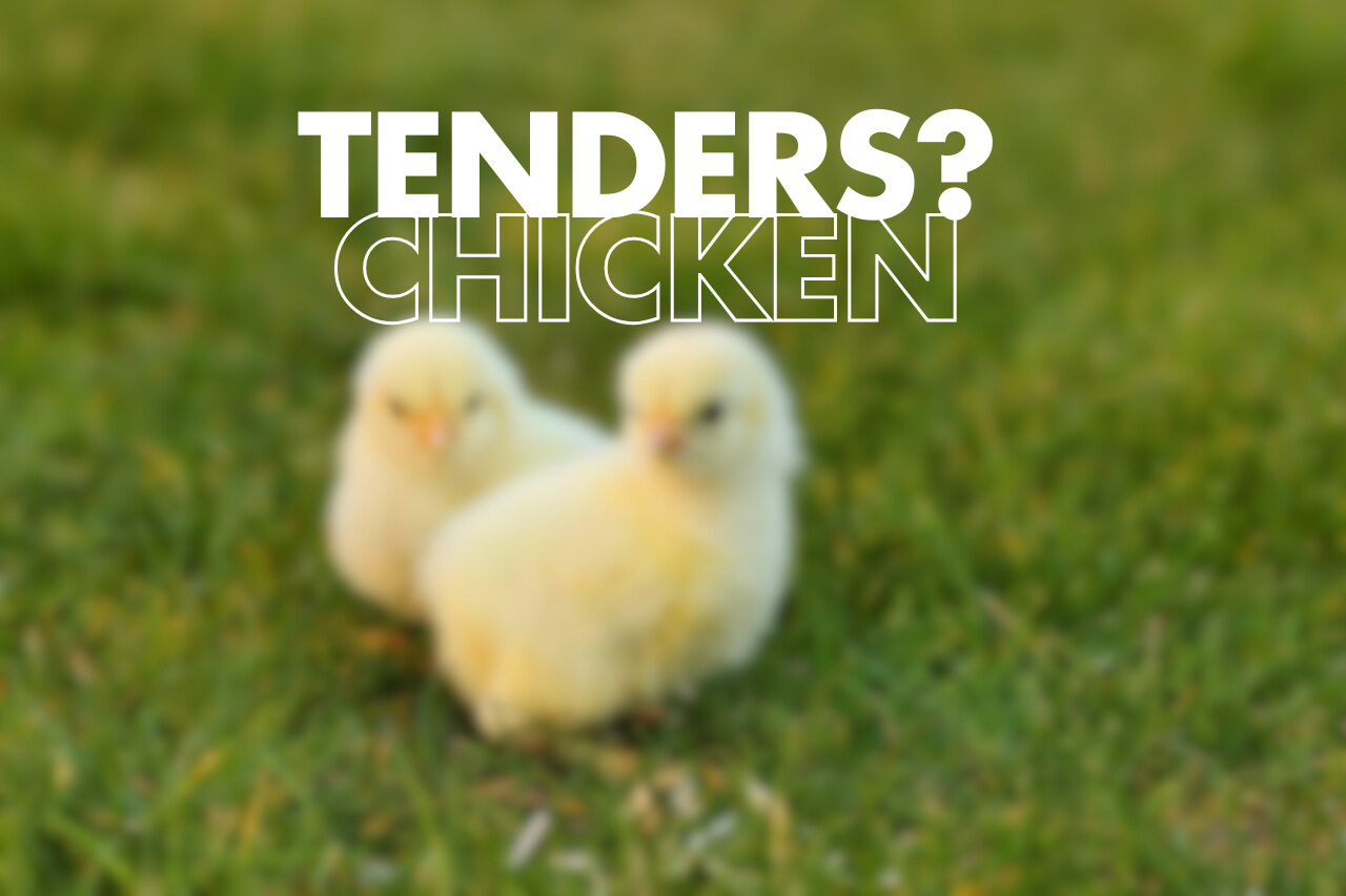 Tenders? Chicken – Lost and Desperate
