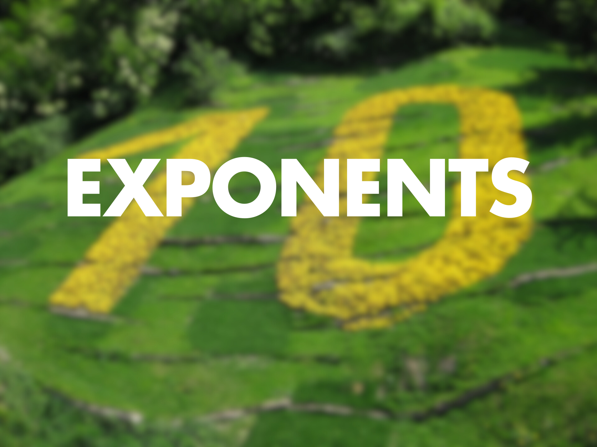 Exponents – Lost and Desperate